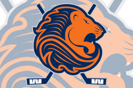 Verkiezing Vreeman formaliteit 🏒 IJshockey Nederland